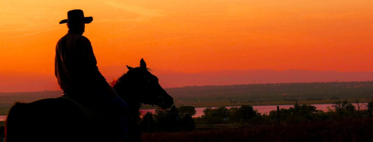 Interview with Author Mike Torreano – Sydney Winward